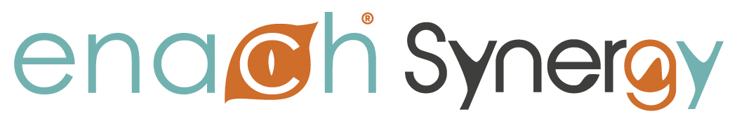 Starts the ENACH Synergy Platform. - Enach